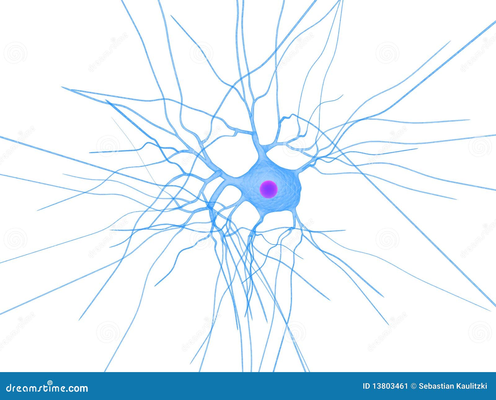 Nerve Cell Cartoon Vector | CartoonDealer.com #9499985