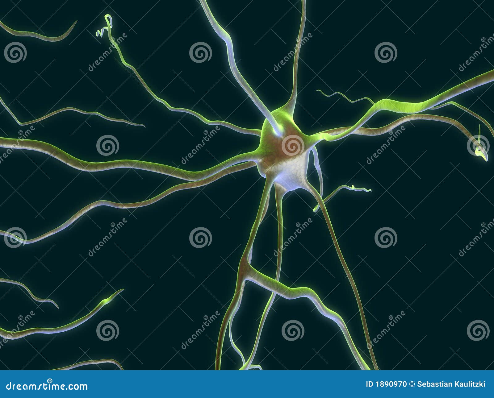 Nerve cell stock illustration. Illustration of neural - 1890970