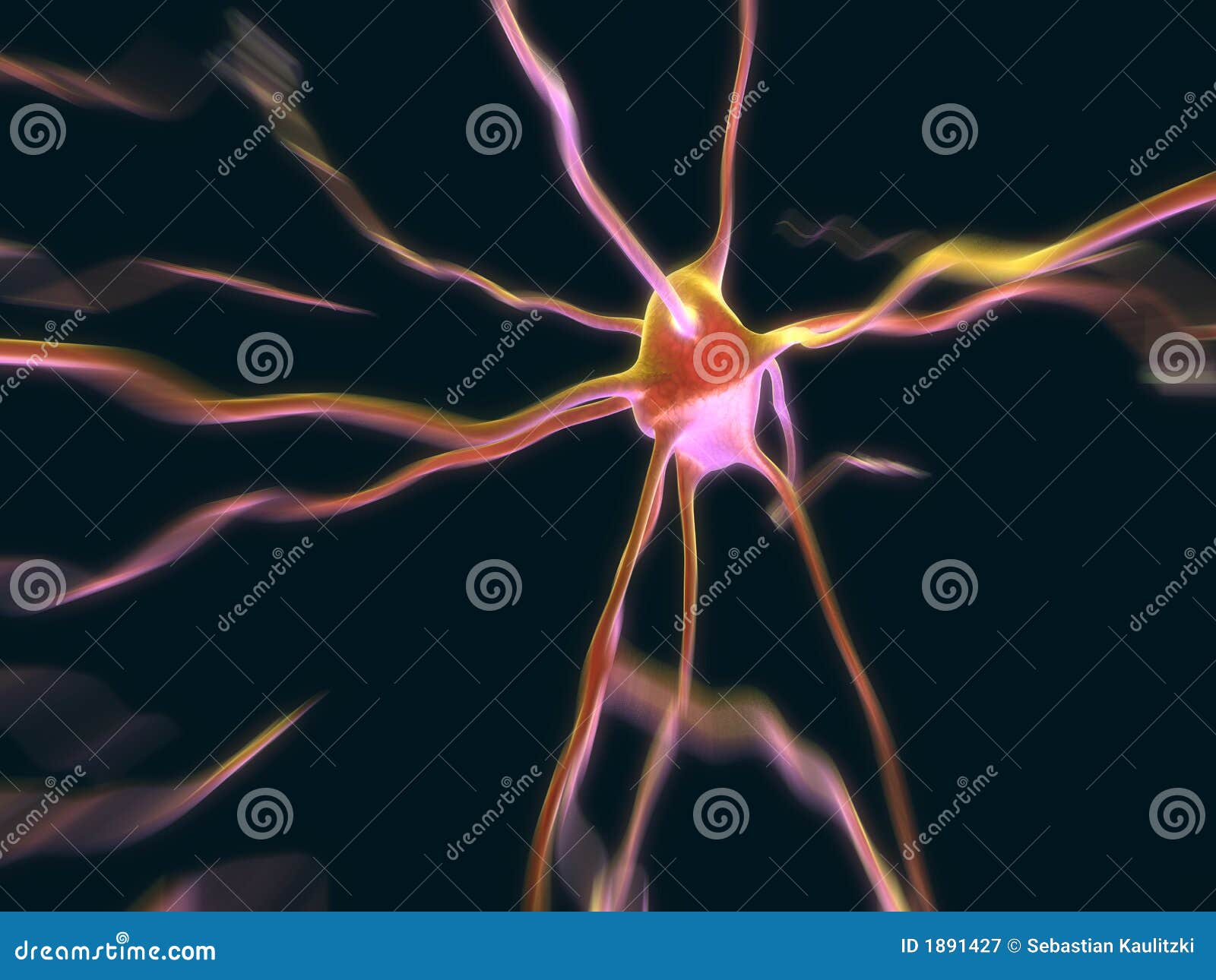 Nerve cell stock illustration. Illustration of nucleus - 1891427