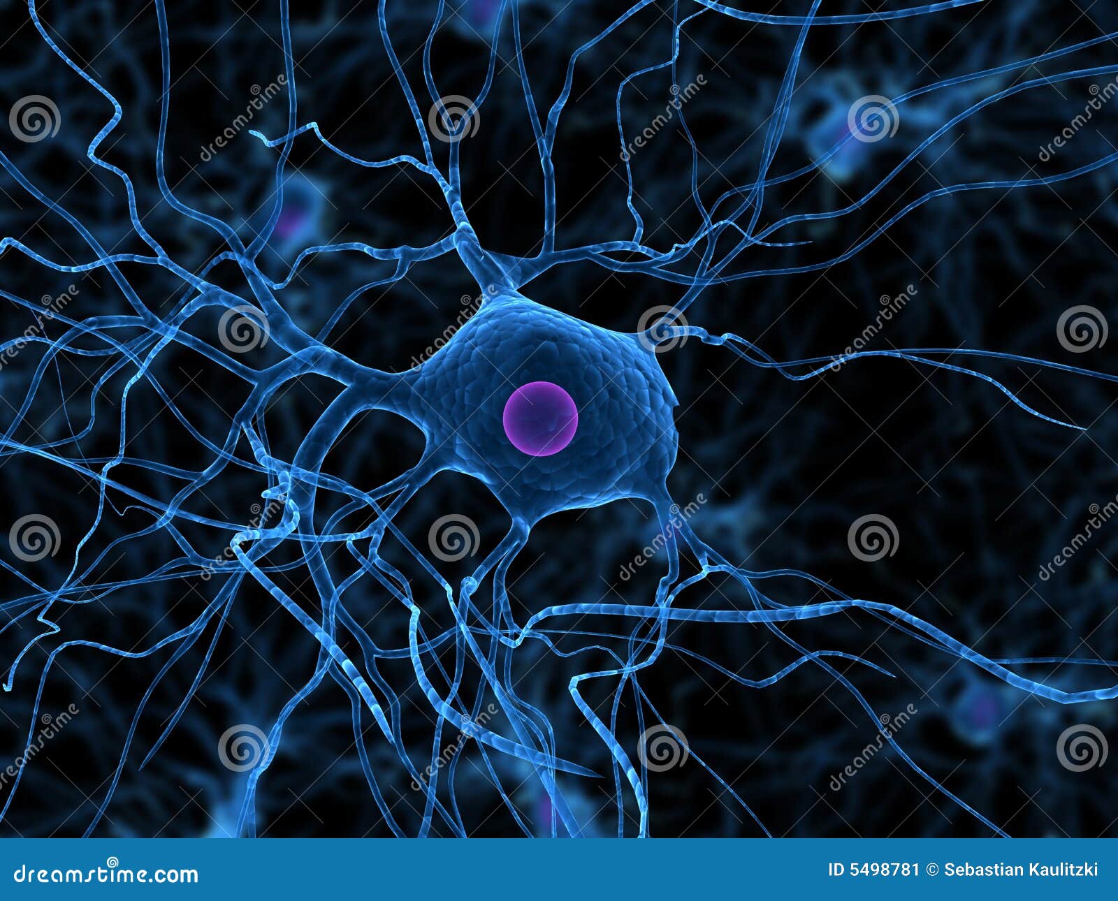 Nerve cell stock illustration. Illustration of body, human - 5498781
