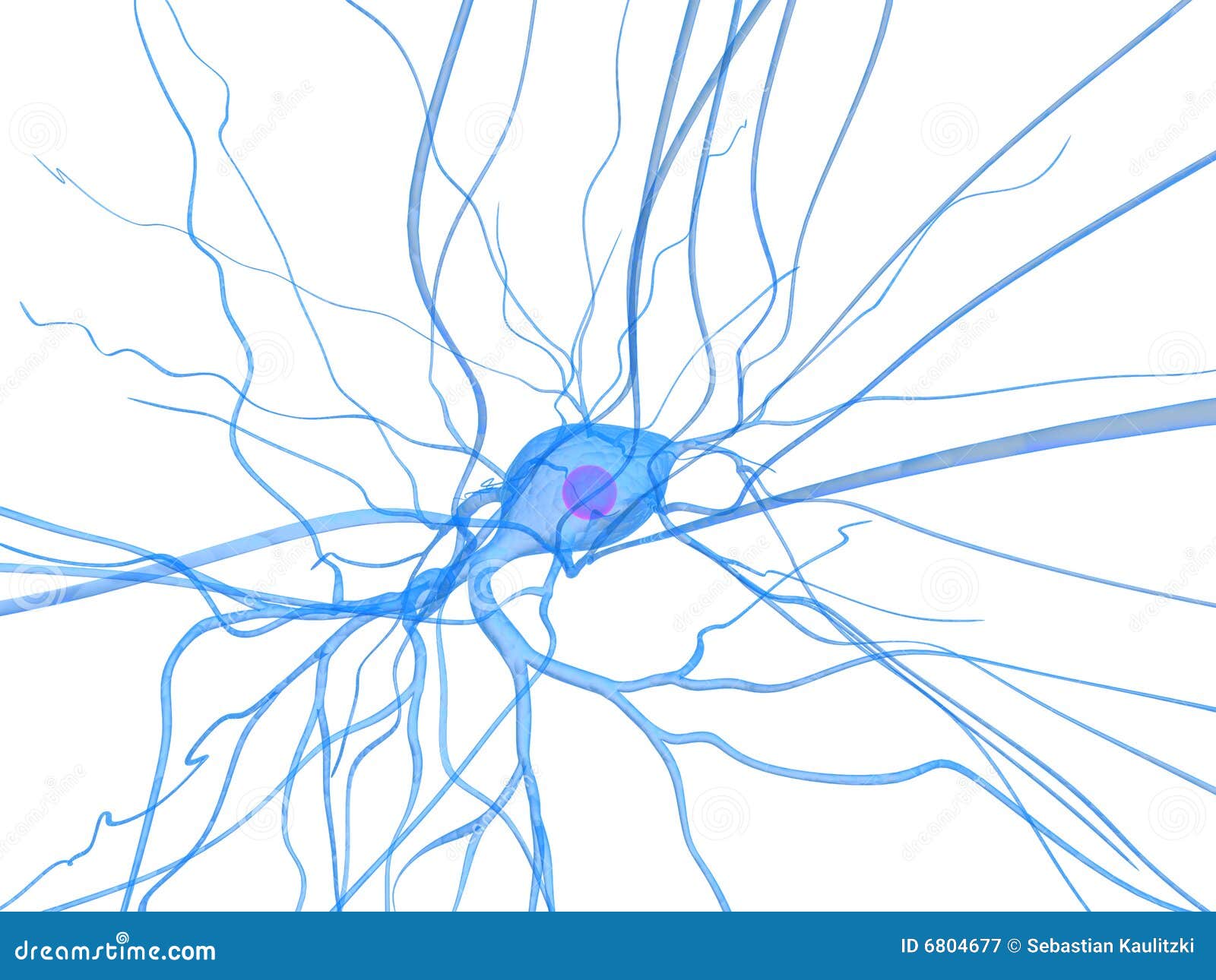 Nerve cell stock illustration. Illustration of neuron - 6804677