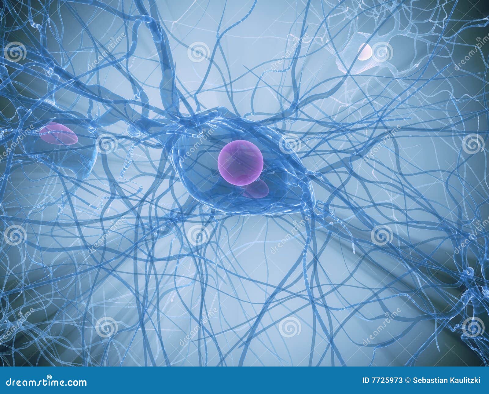 Nerve cell stock illustration. Illustration of medical - 7725973