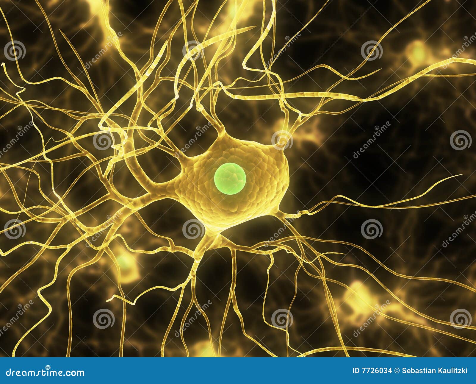 Nerve cell stock illustration. Illustration of cell, head - 7726034