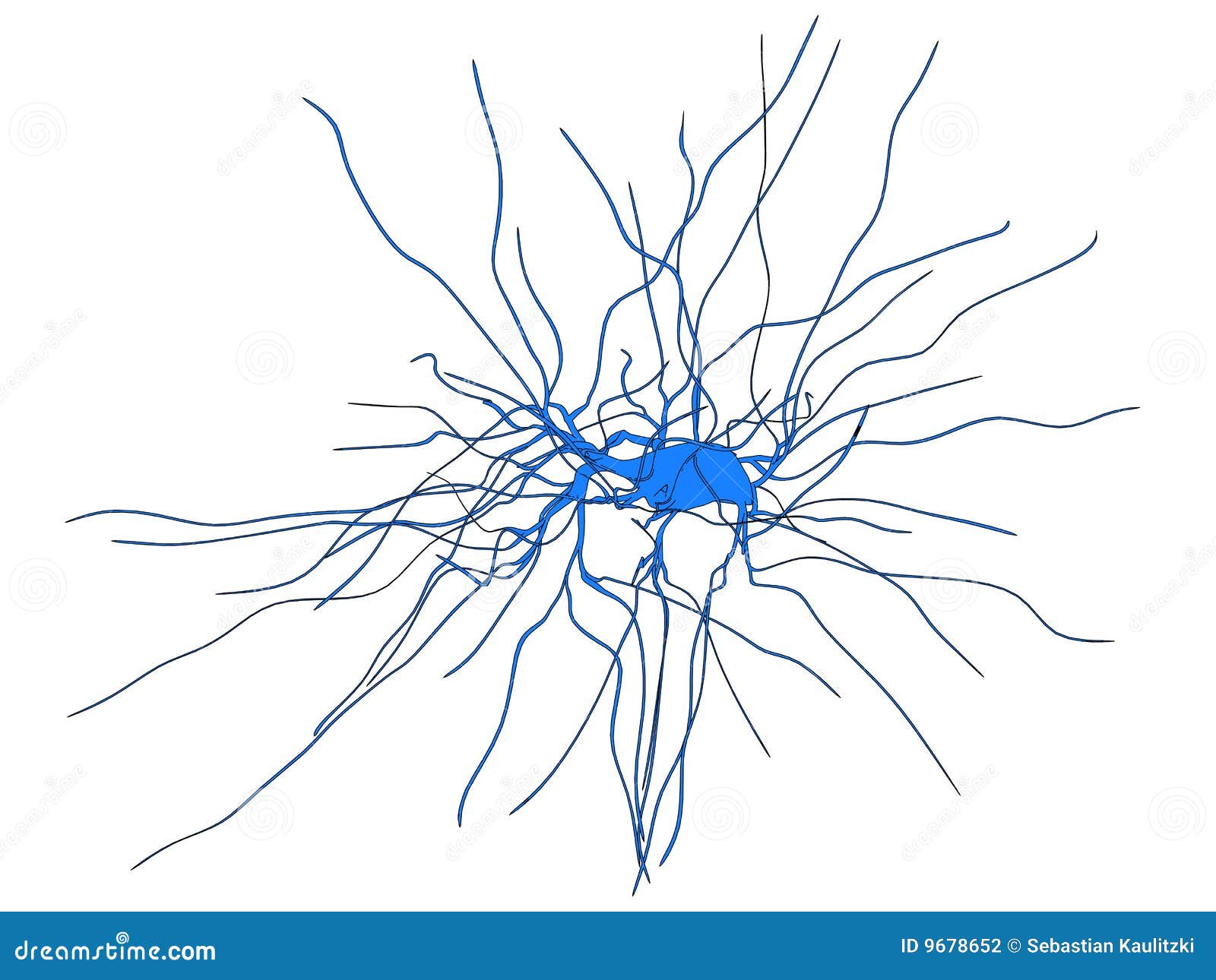 Nerve cell stock vector. Illustration of vector, brain - 9678652