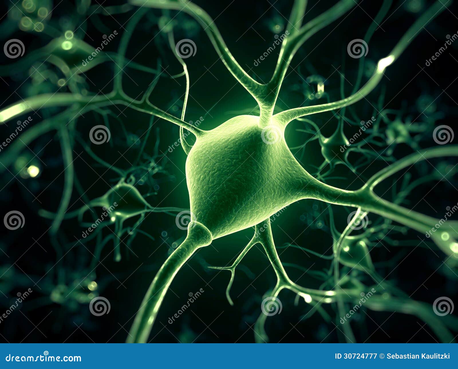 Nerve cell stock illustration. Illustration of medical - 30724777