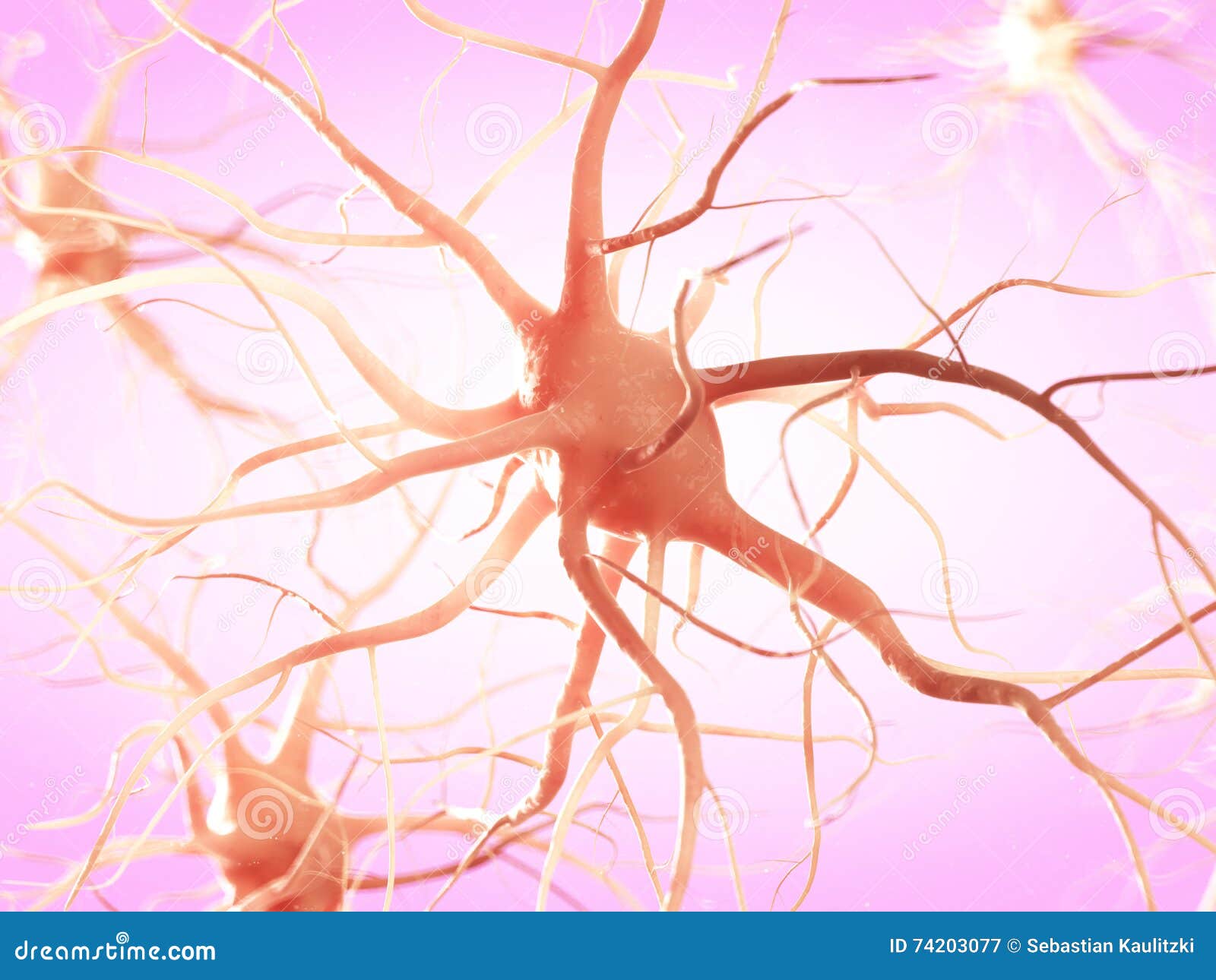 A nerve cell stock illustration. Illustration of magnification - 74203077