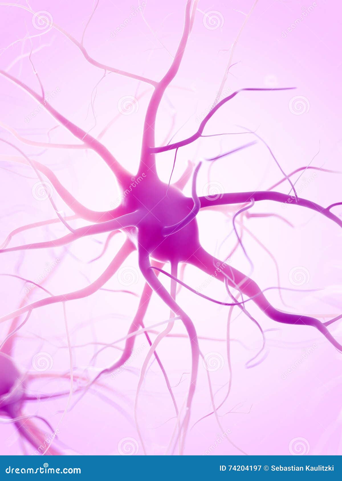 A nerve cell stock illustration. Illustration of dendrite - 74204197
