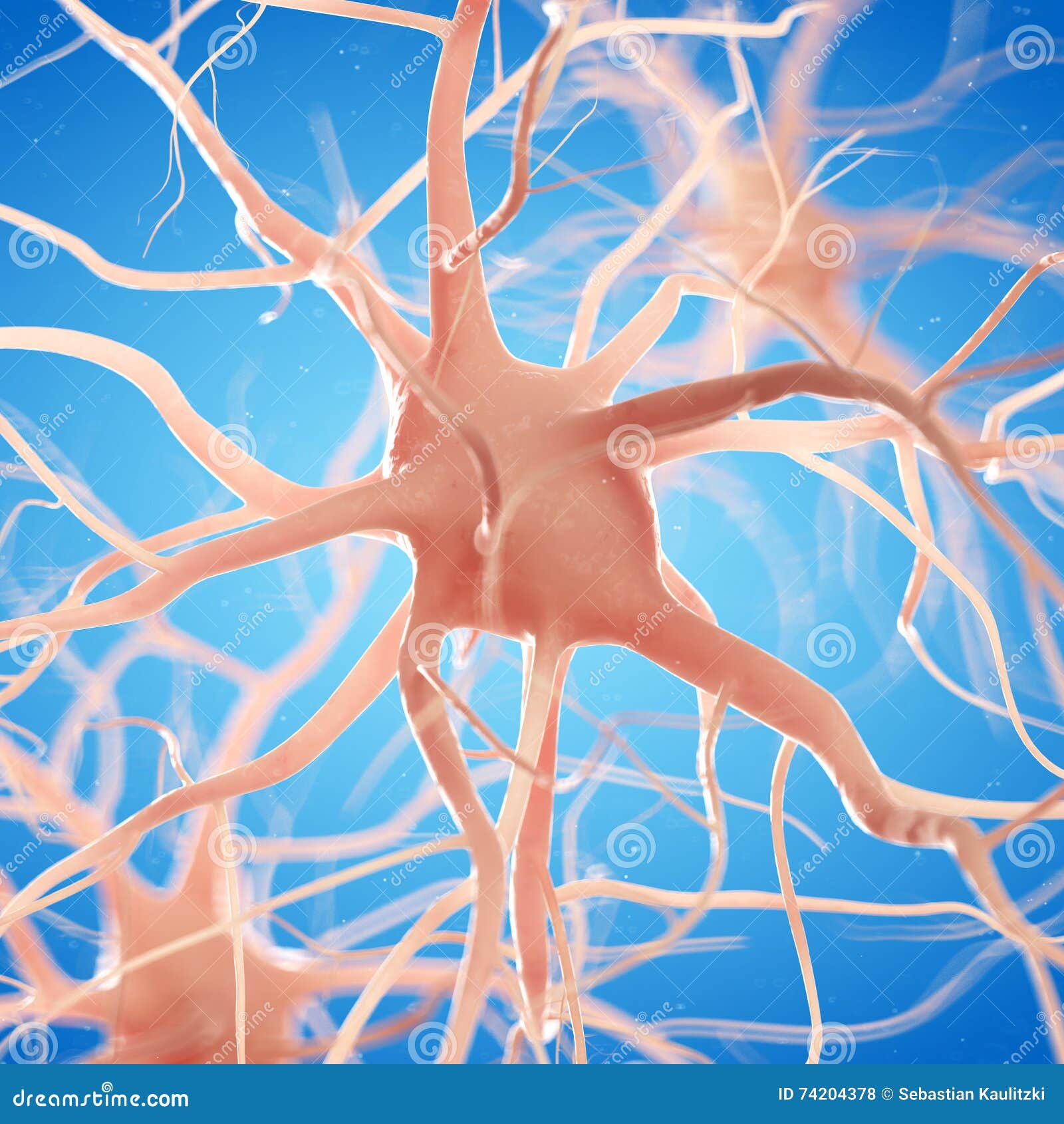 A nerve cell stock illustration. Illustration of inside - 74204378