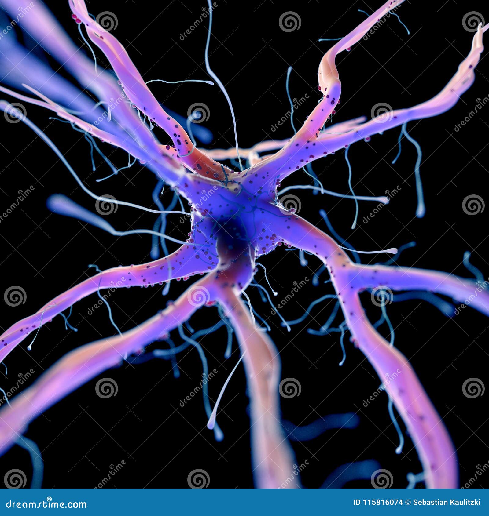 A nerve cell stock illustration. Illustration of micro - 115816074