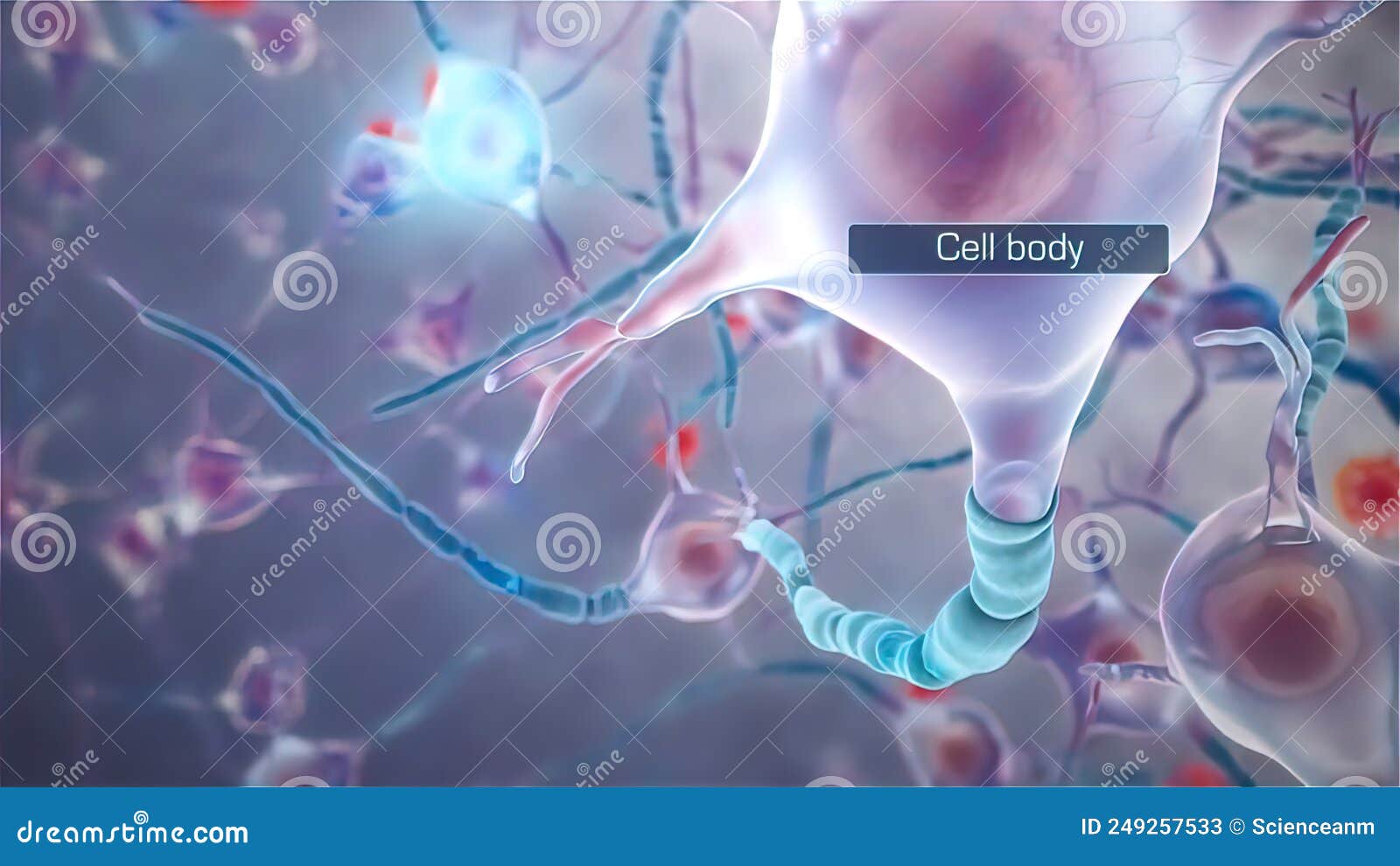 Nerve Cell Destructionin Multiple Sclerosis Stock Illustration ...