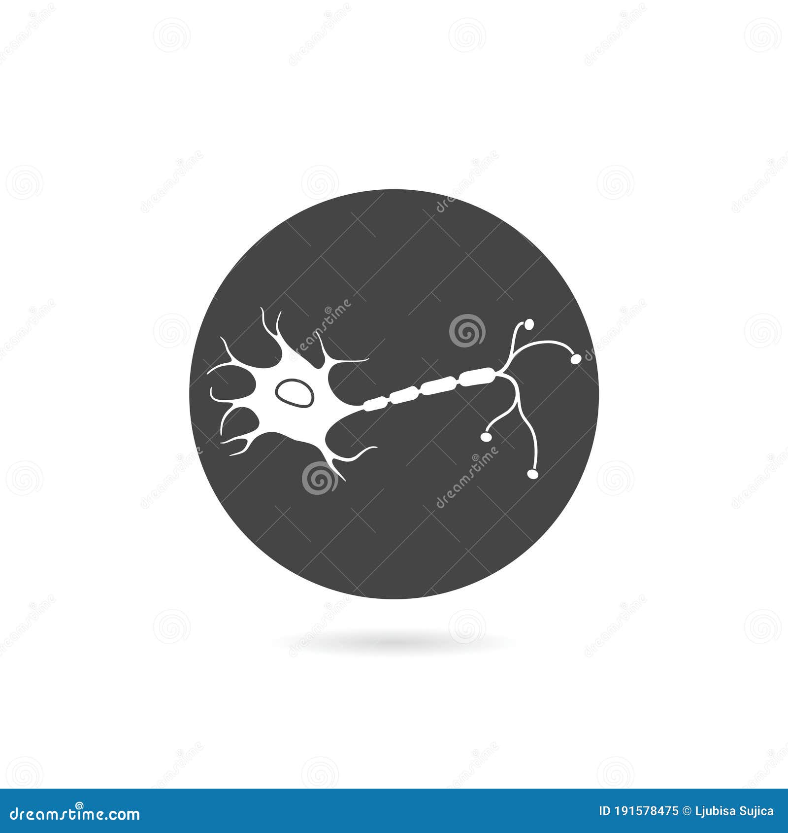Nerve Cell Icon with Shadow Stock Vector - Illustration of isolated ...
