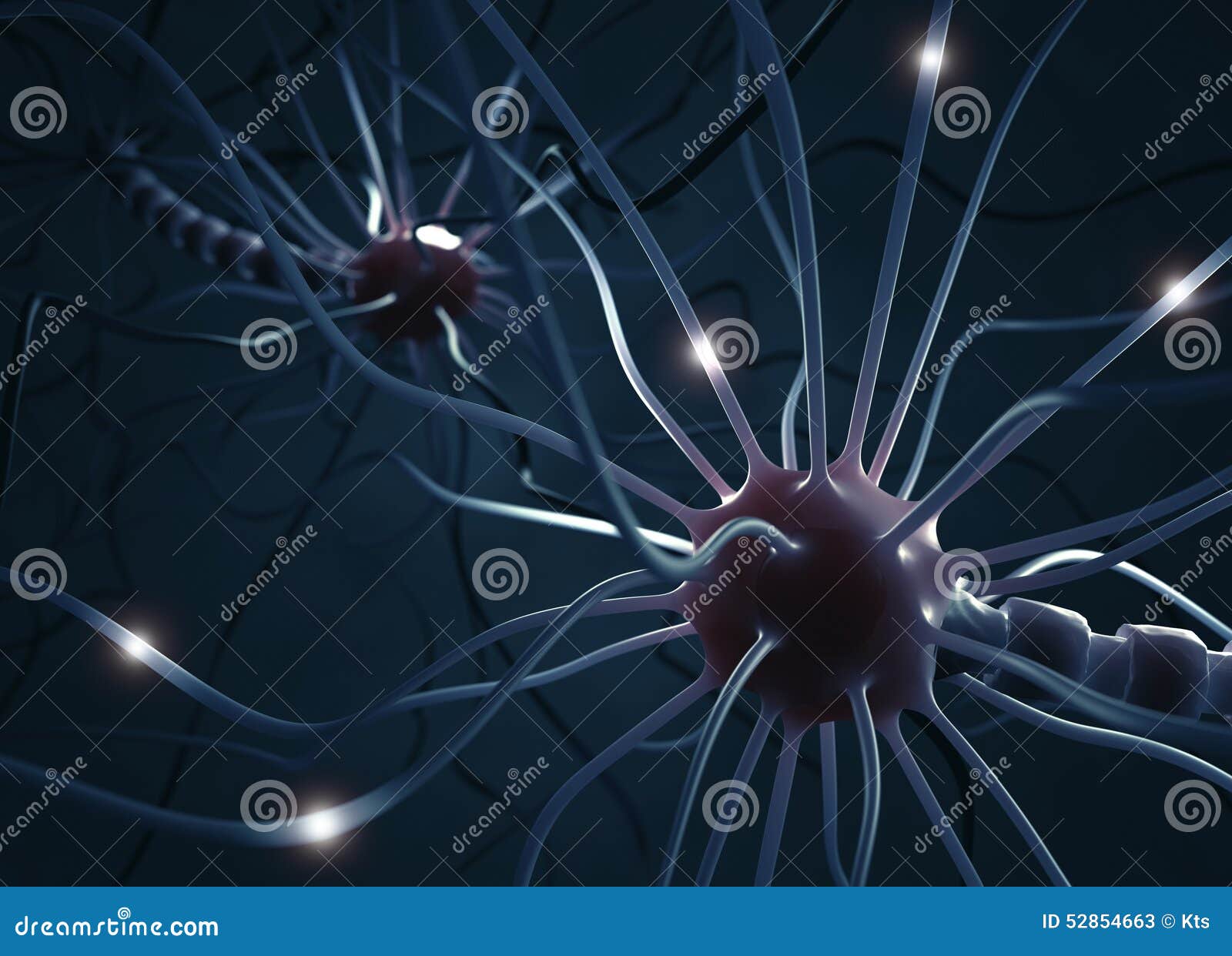 Nerve Cell stock illustration. Illustration of hippocampus - 52854663