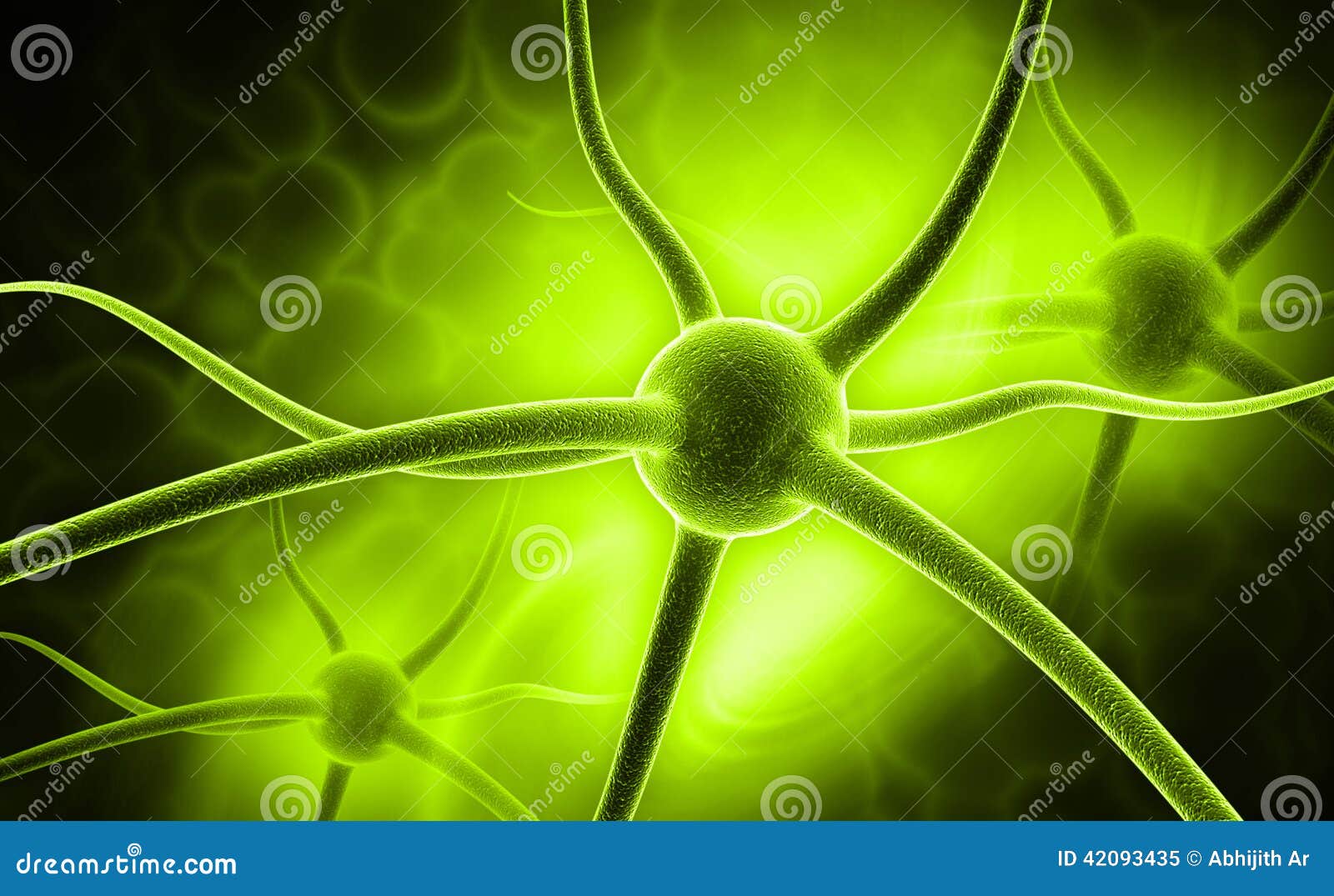 Neuron, Neural Network, Nerve Node, Royalty-Free Stock Photography ...