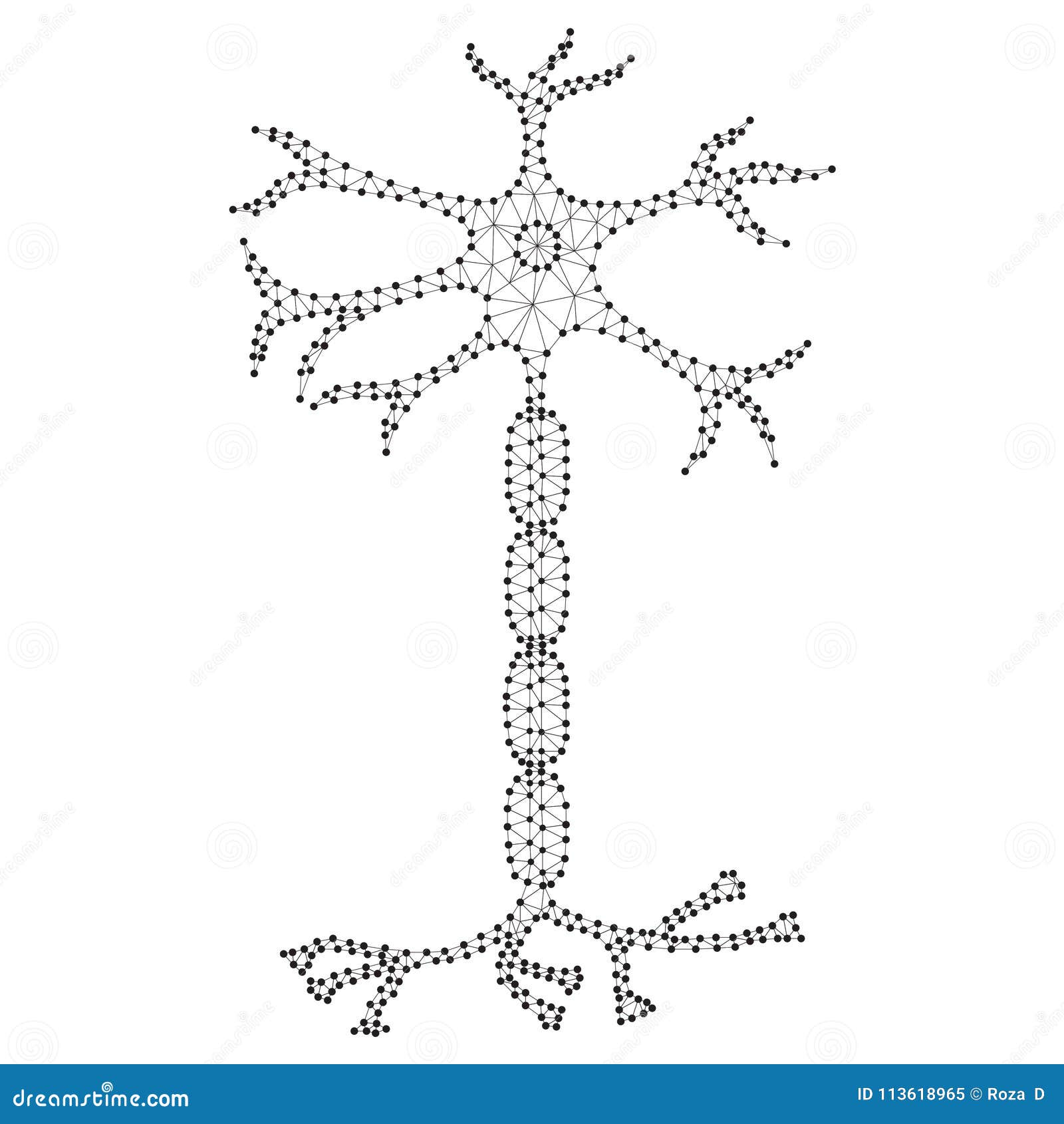 Neuron, Polygon Black-white 1-1 Stock Vector - Illustration of star ...