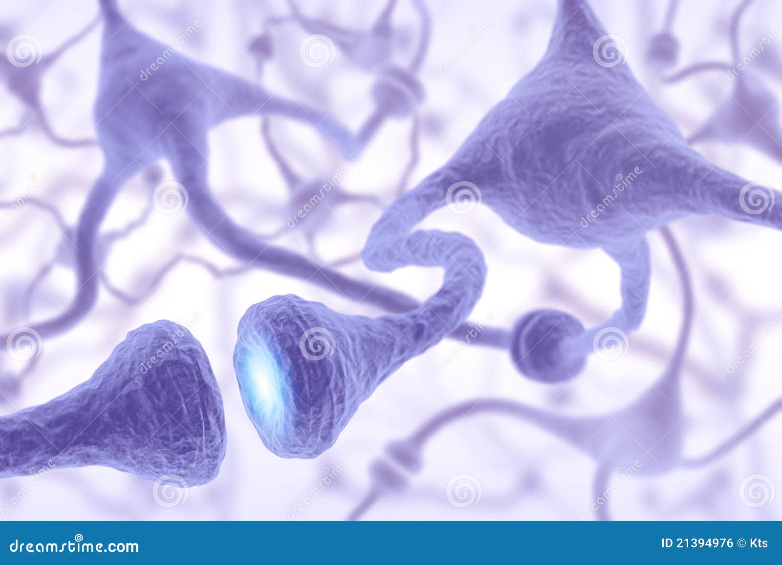 Nerve Cell Pulse stock photo. Image of hippocampus, dendrite - 21394976