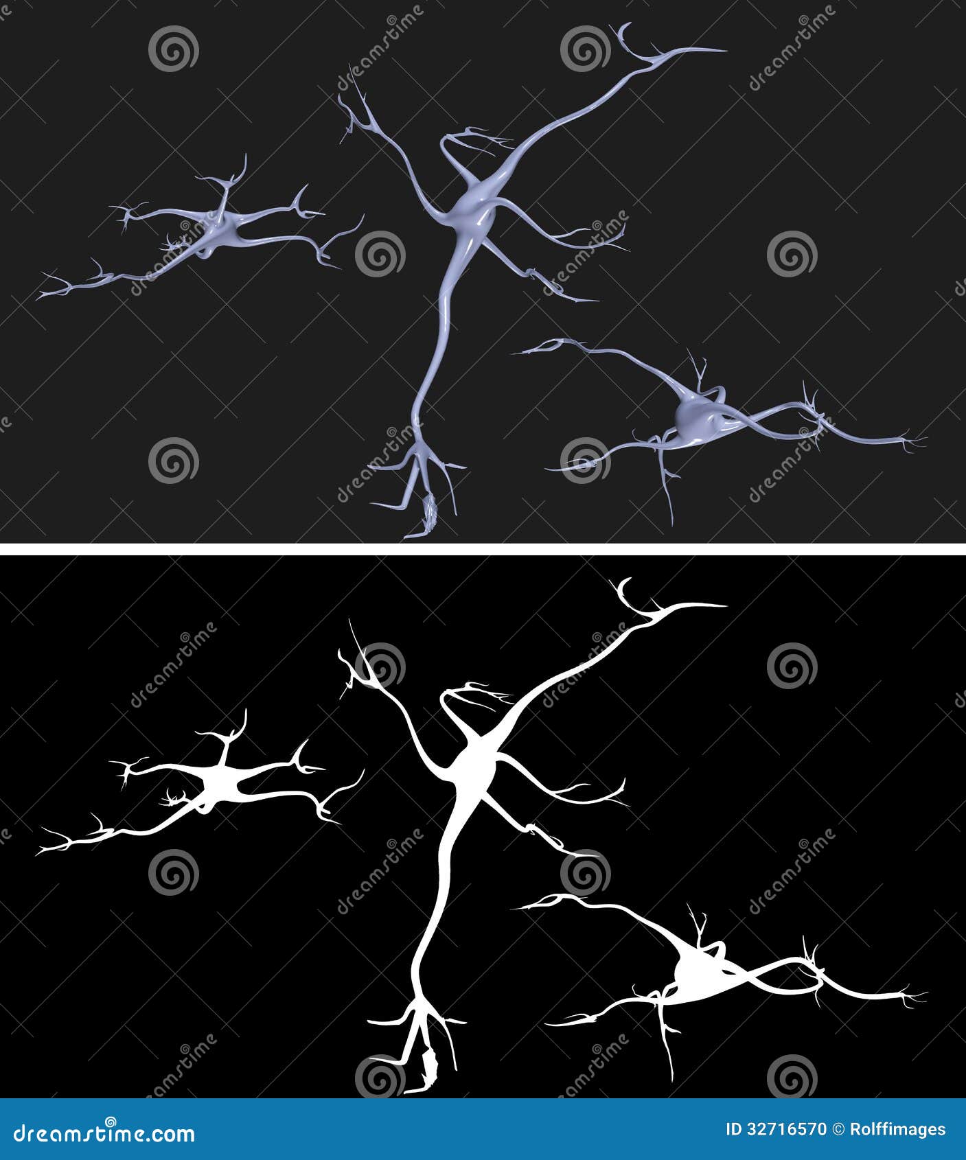 Nerve Cells with Alpha Mask for Extraction Stock Illustration ...