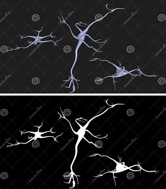 Nerve Cells with Alpha Mask for Extraction Stock Illustration ...