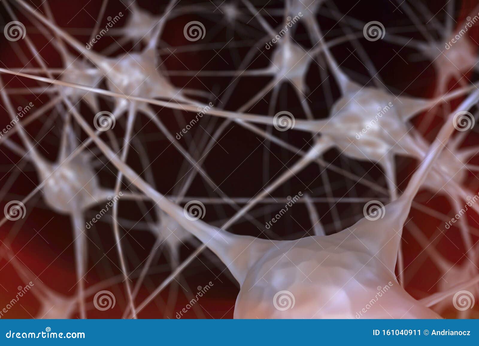 Nerve cells in brain stock illustration. Illustration of nerve - 161040911
