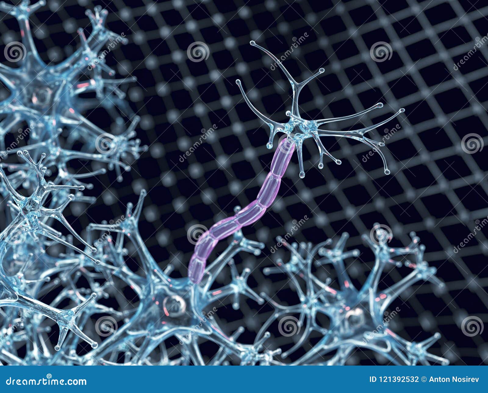 Nerve Cells, Myelin Sheath. Stock Illustration - Illustration of ...