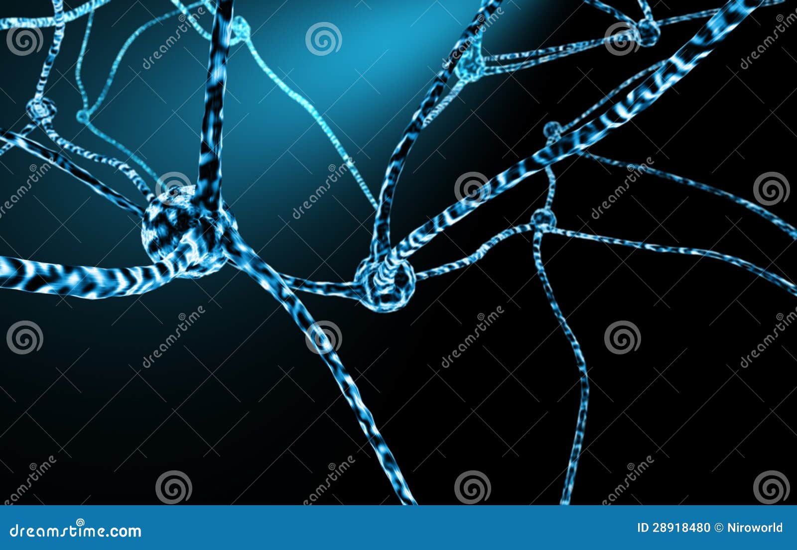 Nerve Cells and Neuronal Network Stock Illustration - Illustration of ...