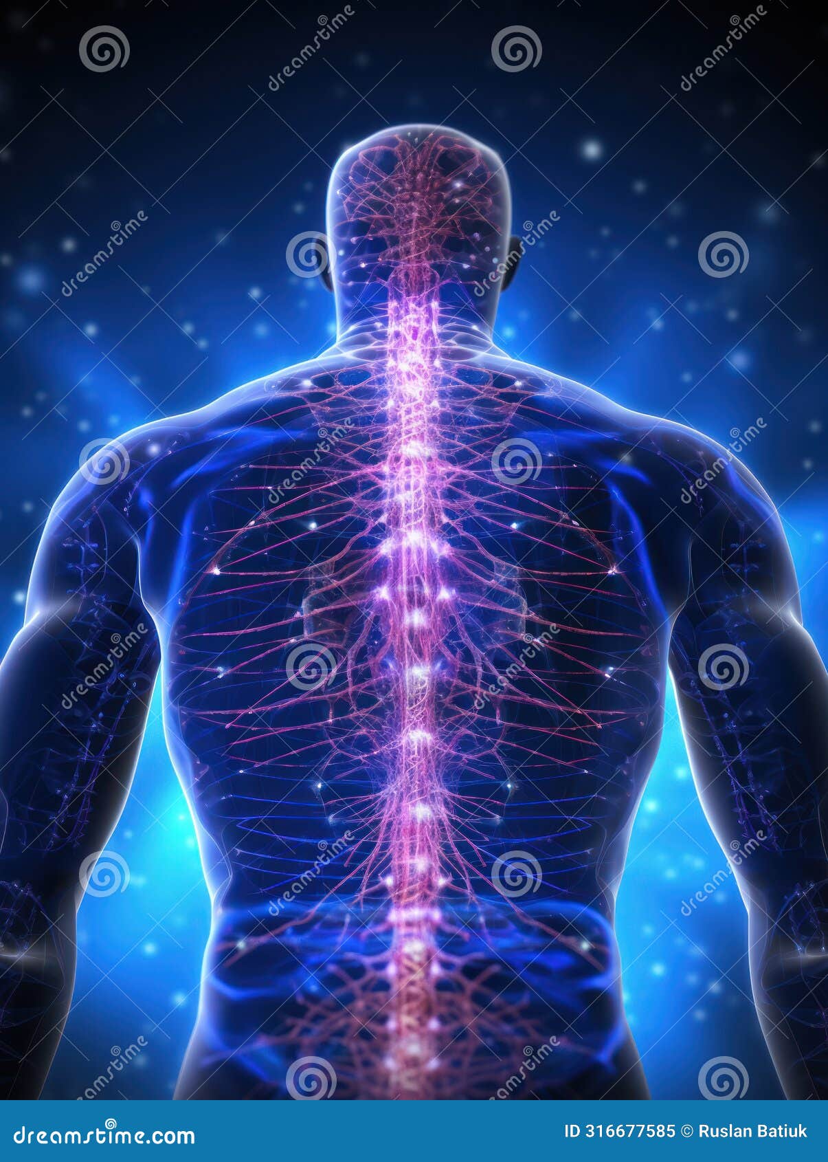 Nerve Network Nervous System Unraveling The Intricate Web Of Neurons