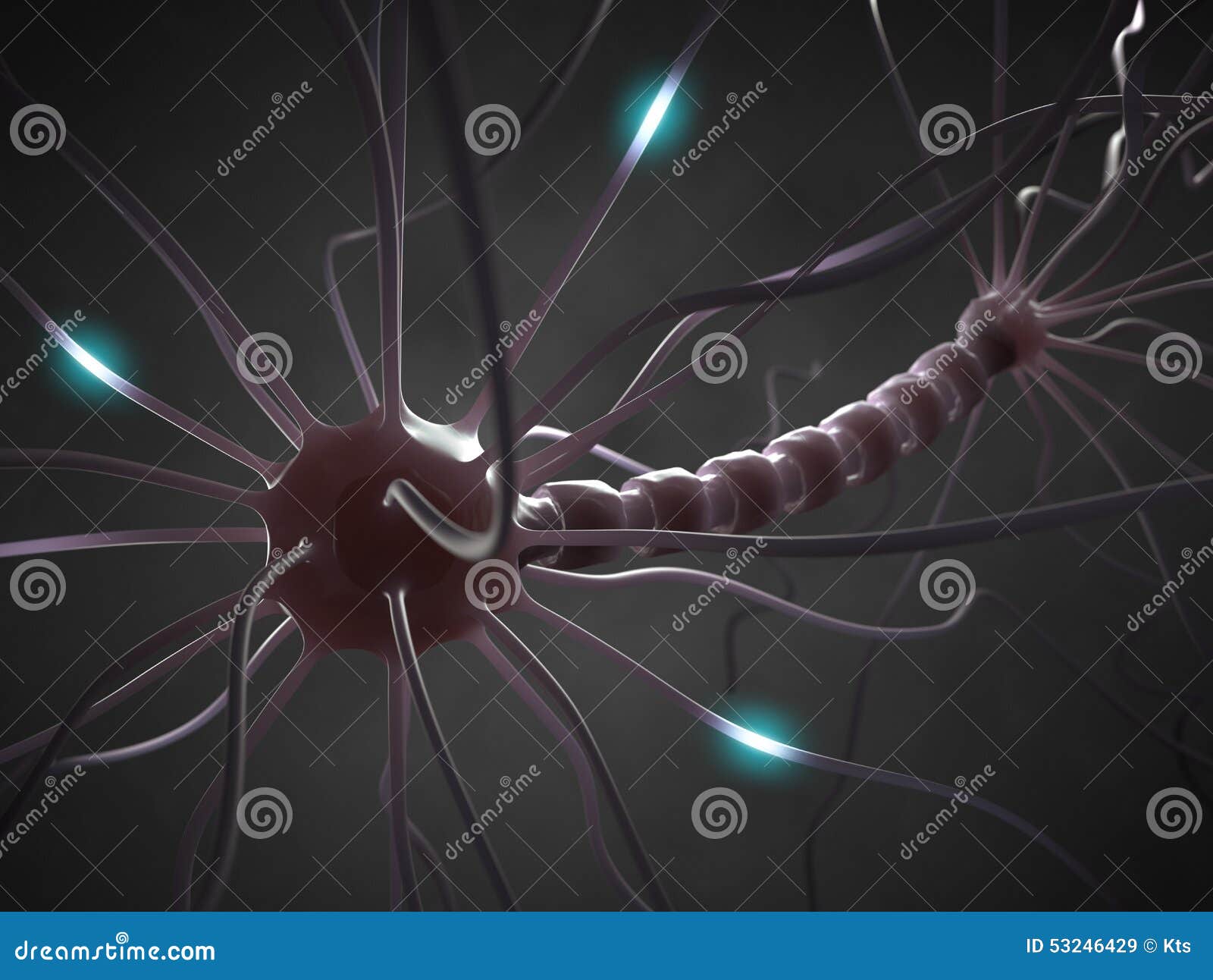 Nervenzelle stockbild. Bild von wissenschaft, synaptisch - 53246429
