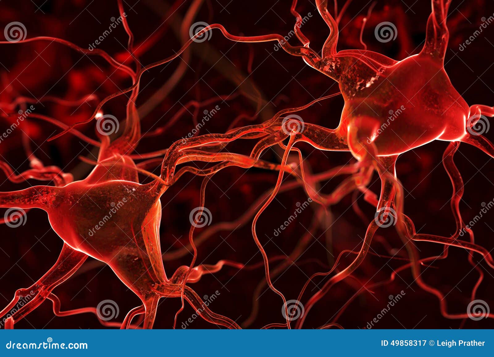 Red Nerves Stock Illustrations – 324 Red Nerves Stock Illustrations ...