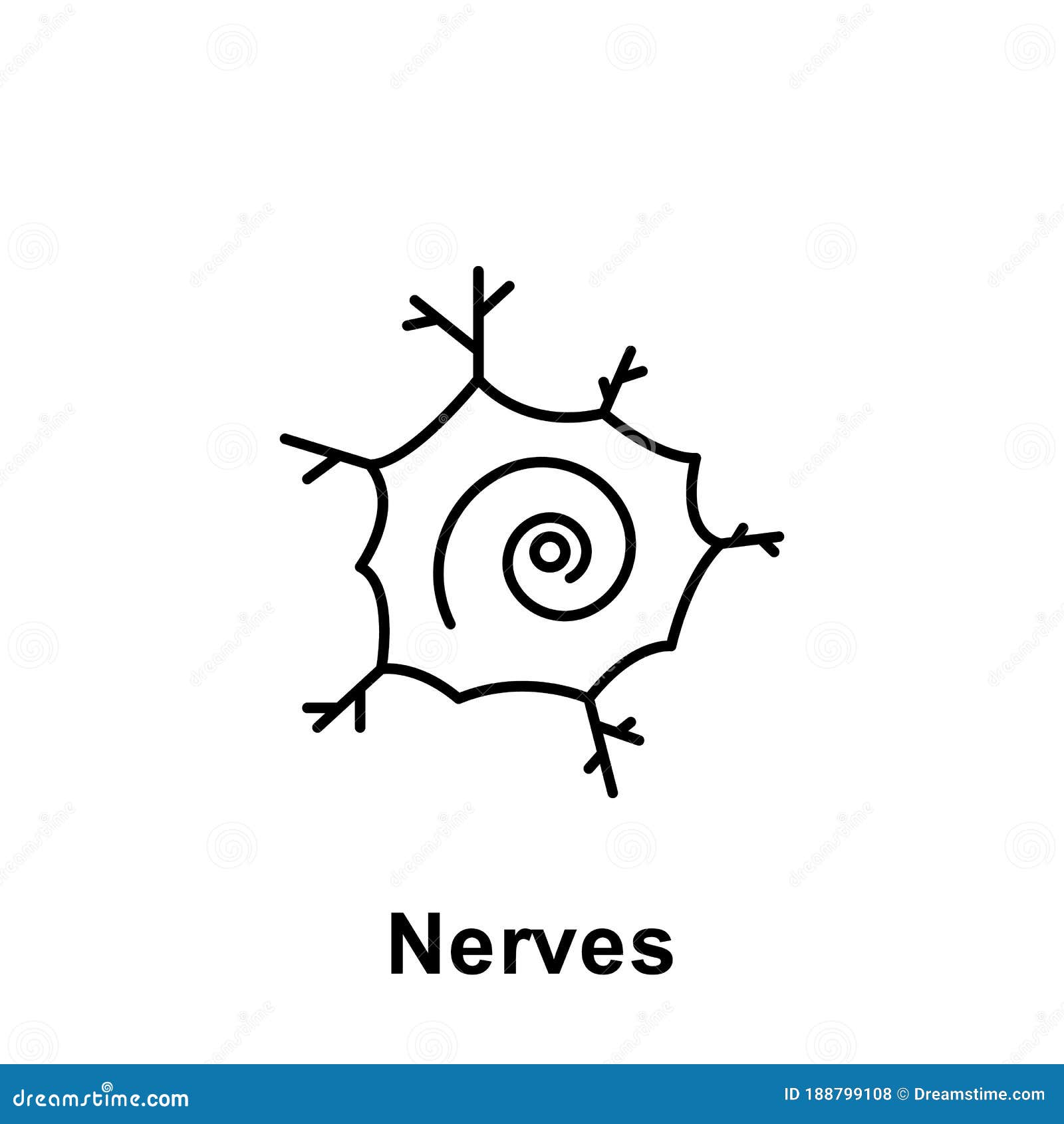 Nerves Of The Human Eye, Vintage Engraving Cartoon Vector ...