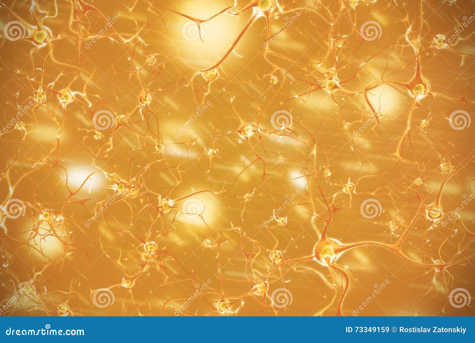 Nervous System 3d Illustration of Brain Cells Stock Image - Image of ...