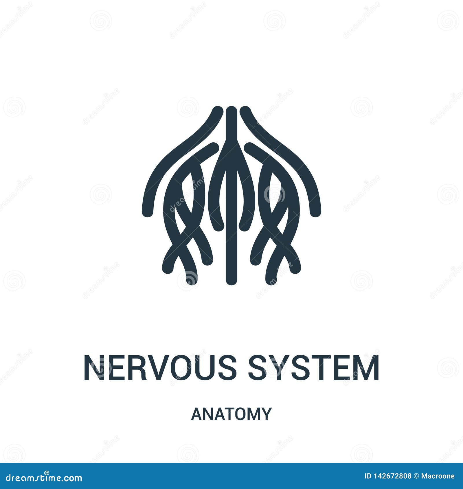 Nervous System Icon Vector from Anatomy Collection. Thin Line Nervous ... Nervous System Icon Vector from Anatomy Collection. Thin Line Nervous ...