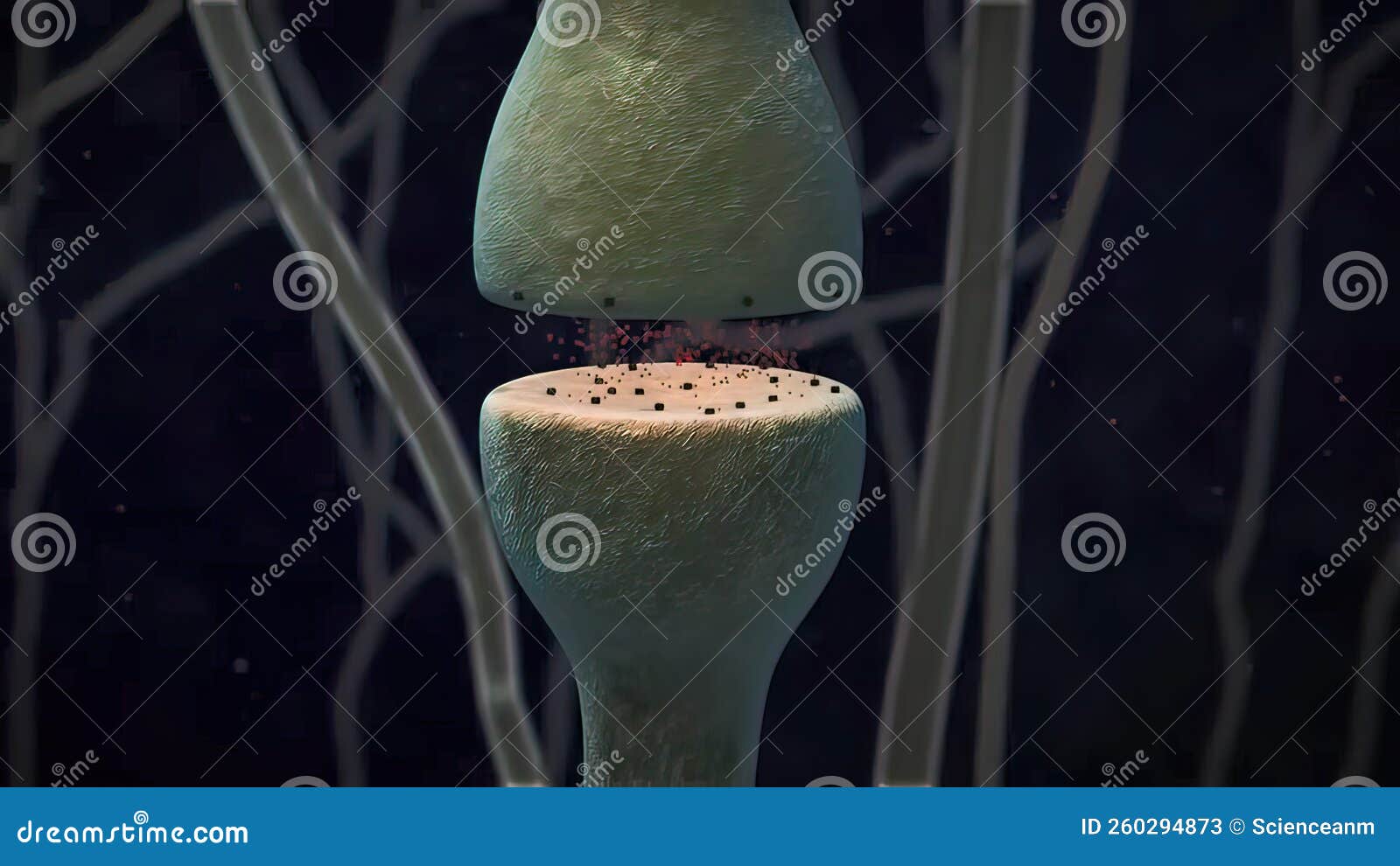 3D Medical Animaton of the Nervous System, Synapses Stock Illustration ...