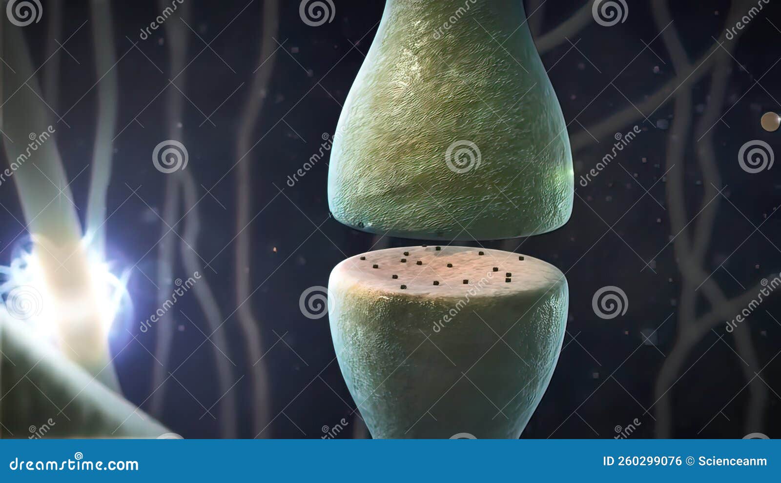 3D Medical Animaton of the Nervous System, Synapses Stock Illustration ...