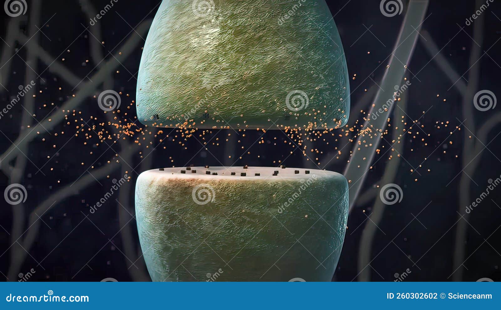 3d Medical Animaton Of The Nervous System Synapses Stock Illustration