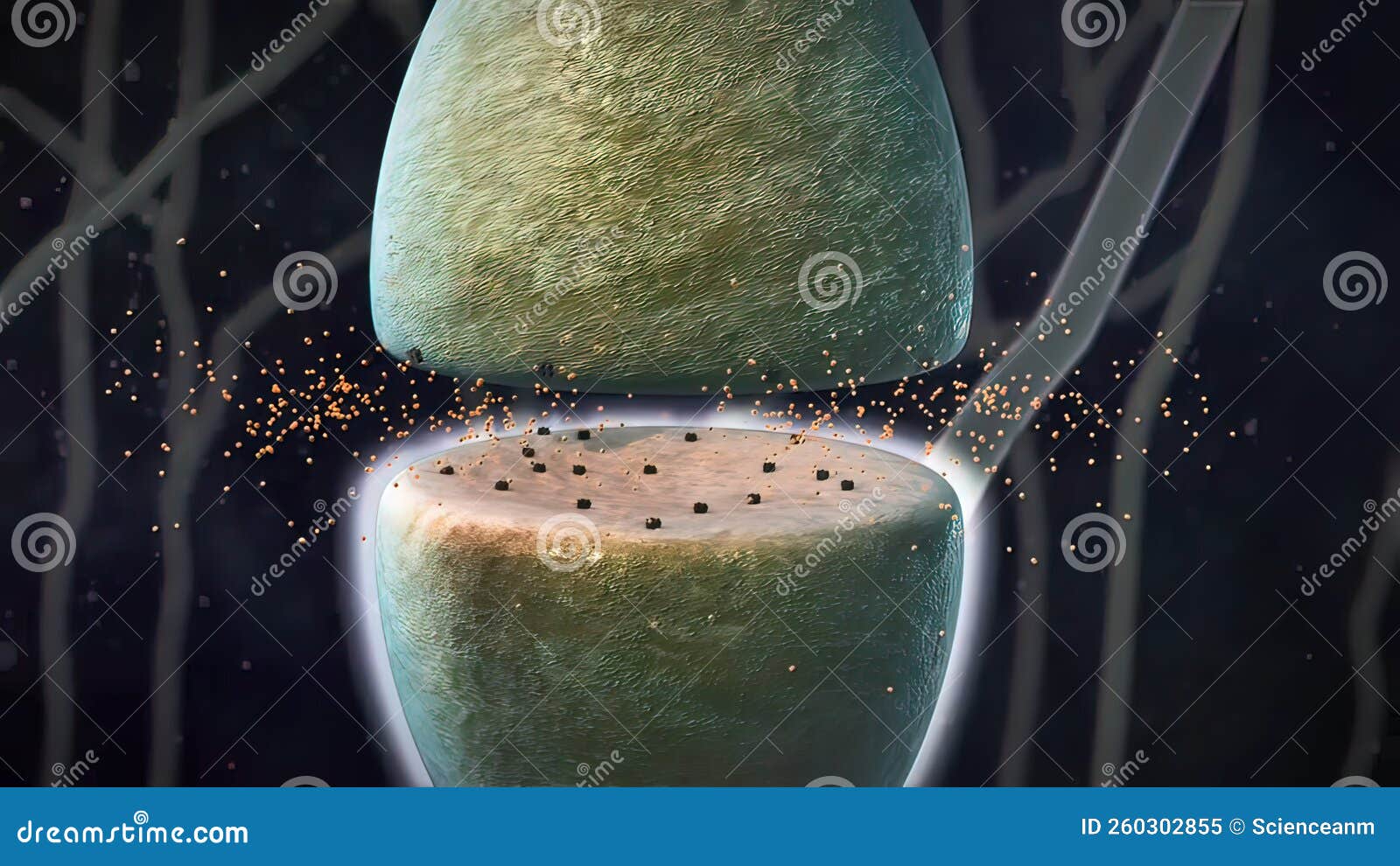 3D Medical Animaton of the Nervous System, Synapses Stock Illustration ...