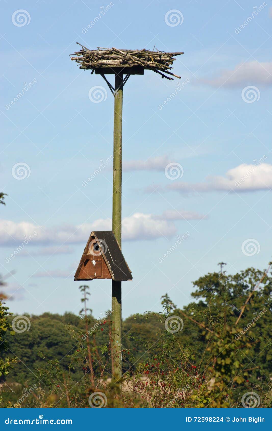 Nest boxes on pole stock photo. Image of clouds, trees - 72598224