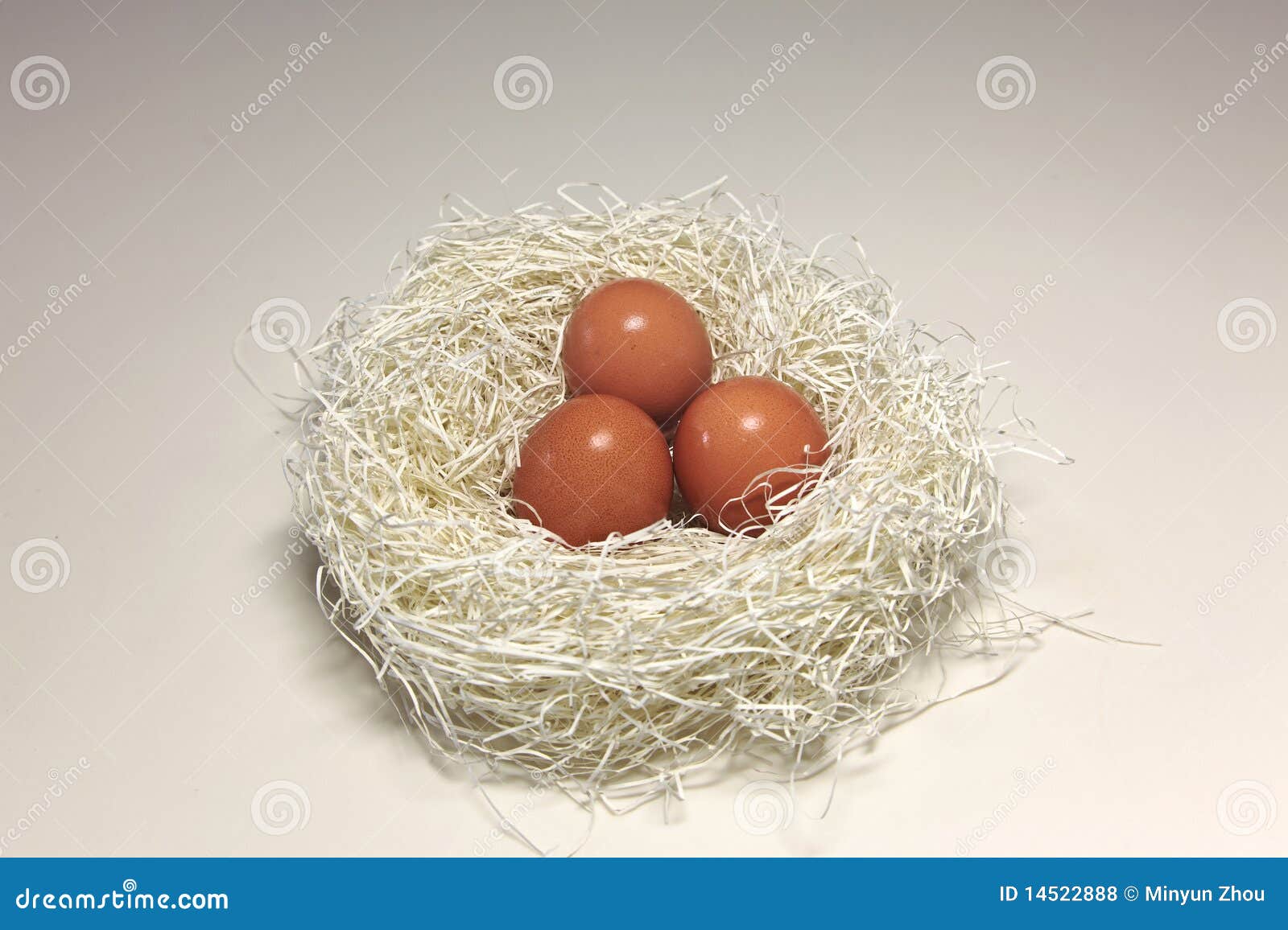 Nest Egg stock photo. Image of life, ideas, freshness - 14522888