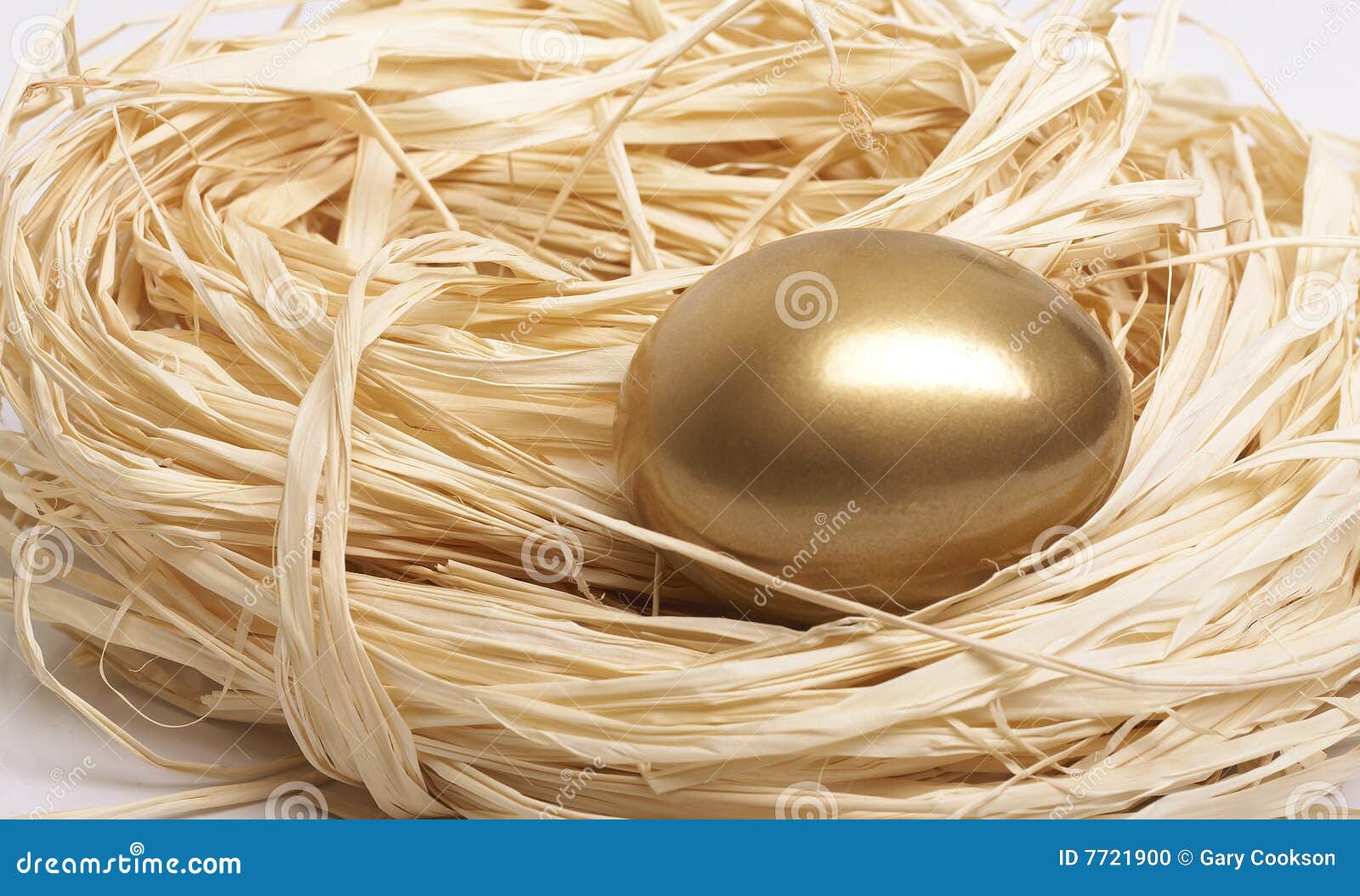 Nest Egg stock photo. Image of golden, savings, food, color - 7721900