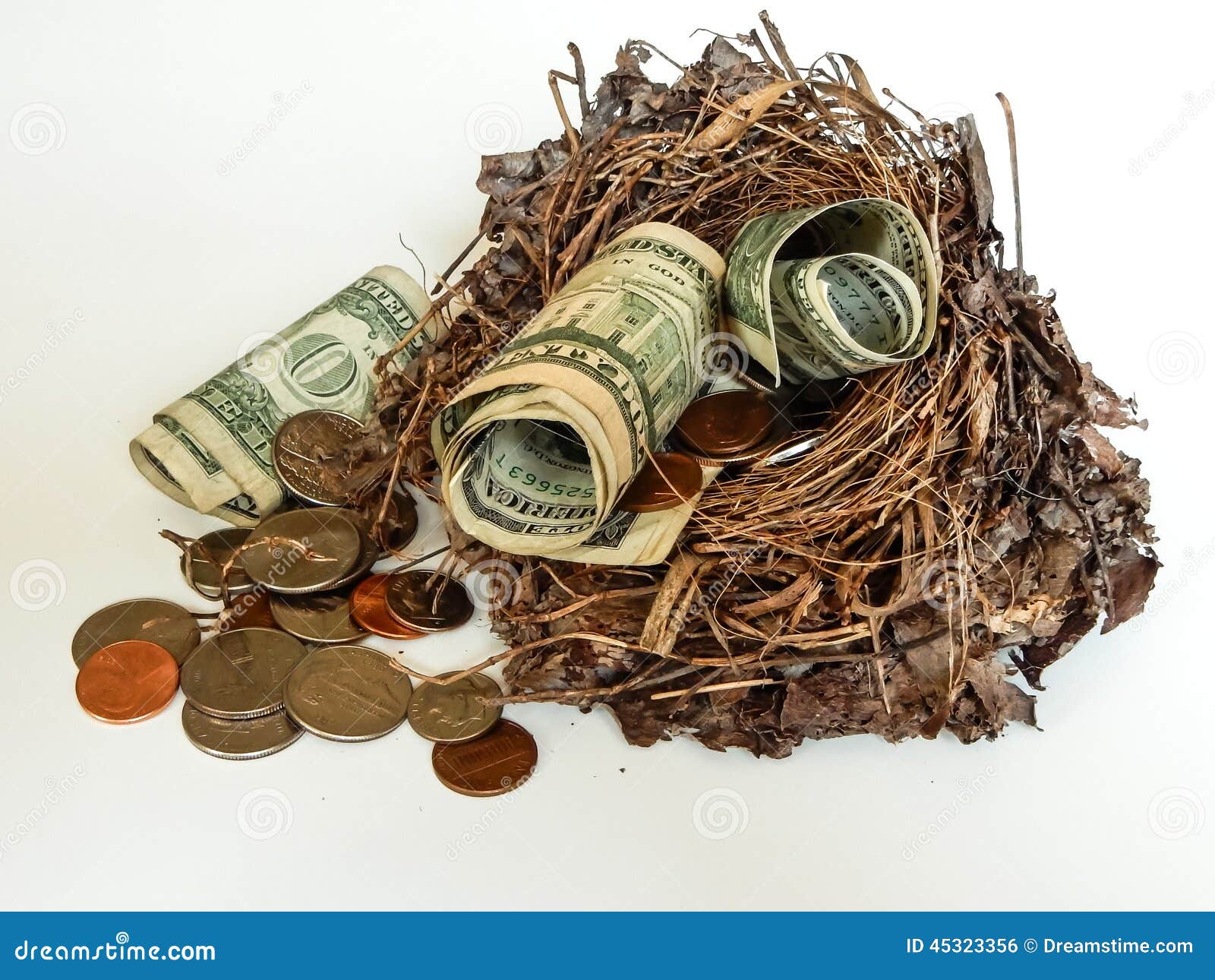 Nest Egg stock photo. Image of nest, save, spend, success - 45323356