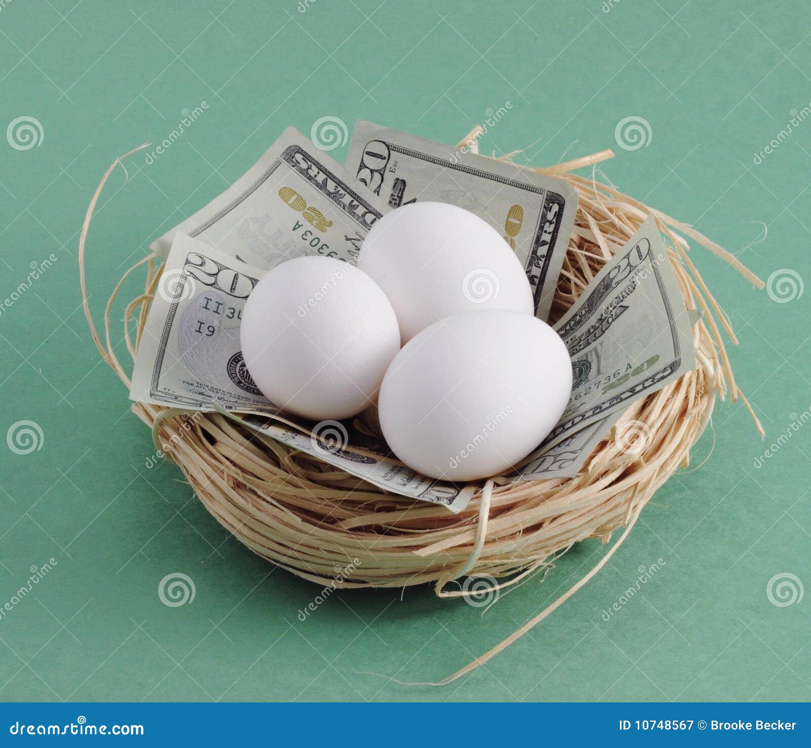 Nest Egg with Money stock image. Image of white, saving - 10748567