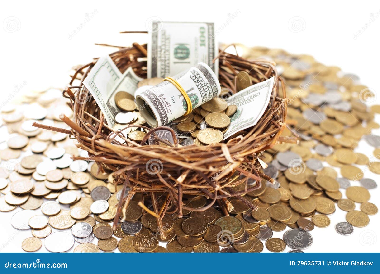 Nest egg with money stock image. Image of currency, nest - 29635731
