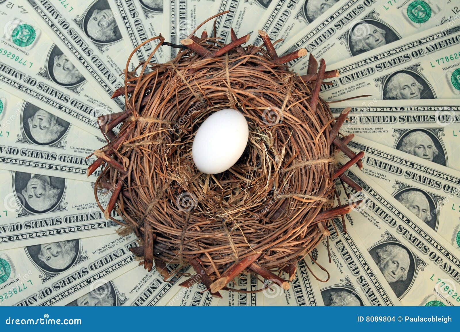 Nest Egg and Money stock photo. Image of concept, loan - 8089804