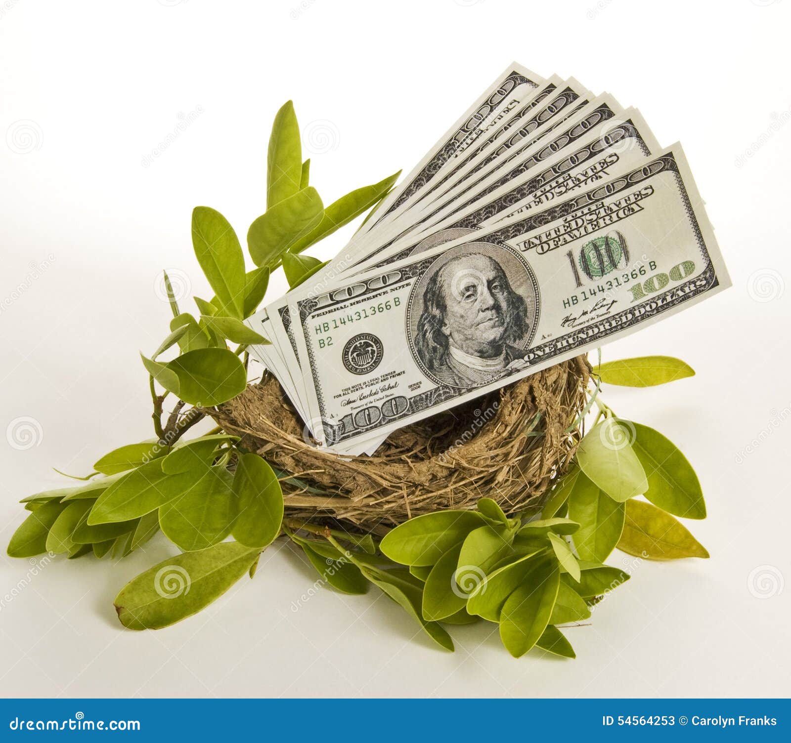 Nest Egg Money stock image. Image of bird, people, paper - 54564253
