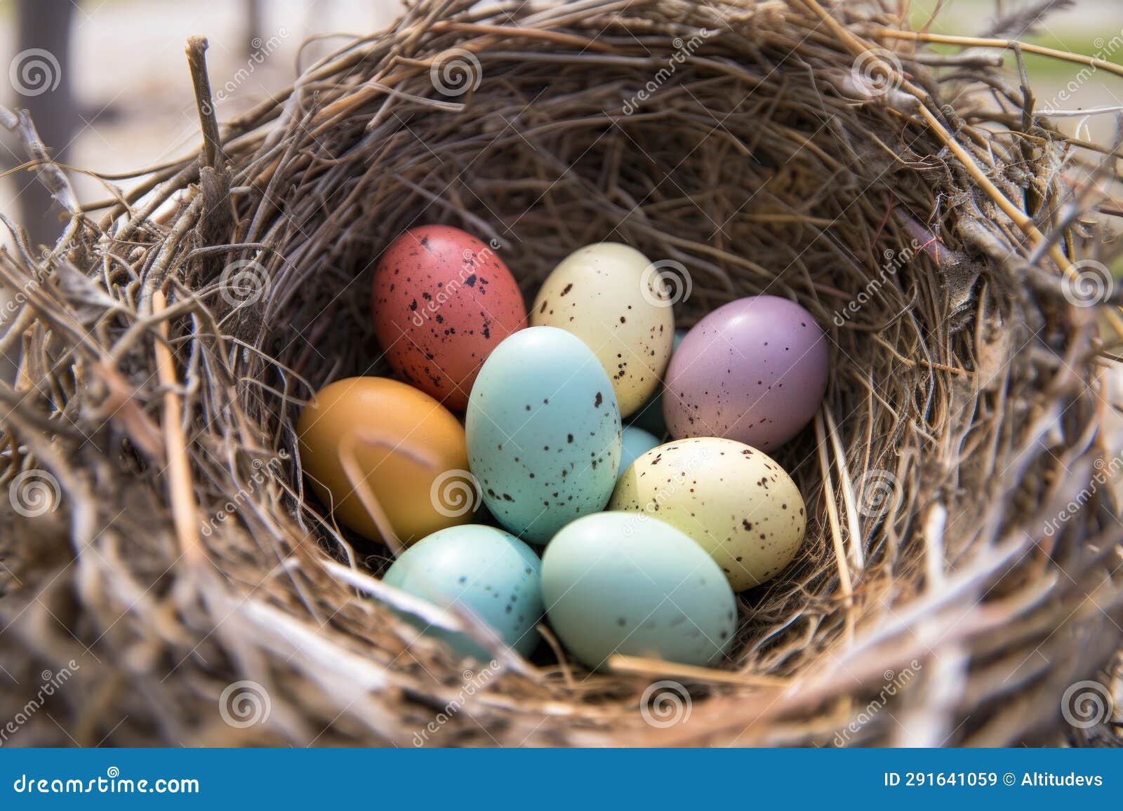 Nest Filled with Colorful Bird Eggs Stock Image - Image of kingdom ...