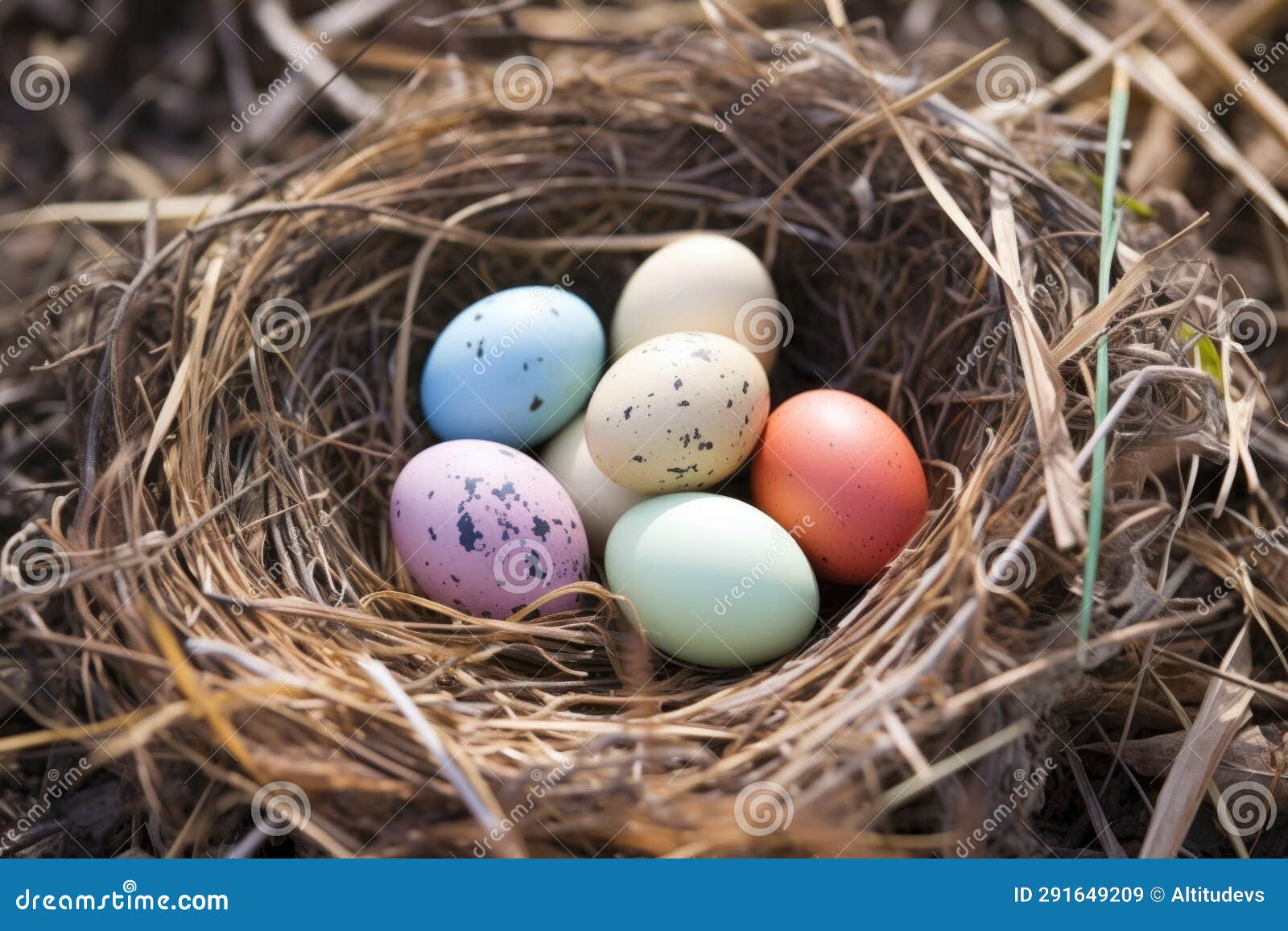 Nest Filled with Colorful Bird Eggs Stock Image - Image of generated ...