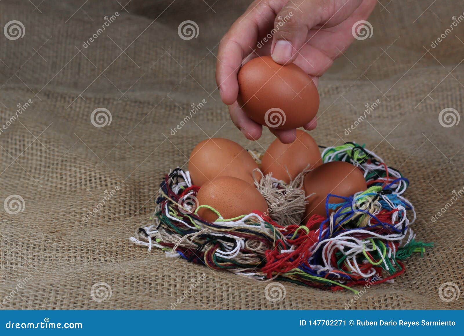Nest Made with Threads and Eggs Inside Background White Many Basket ...