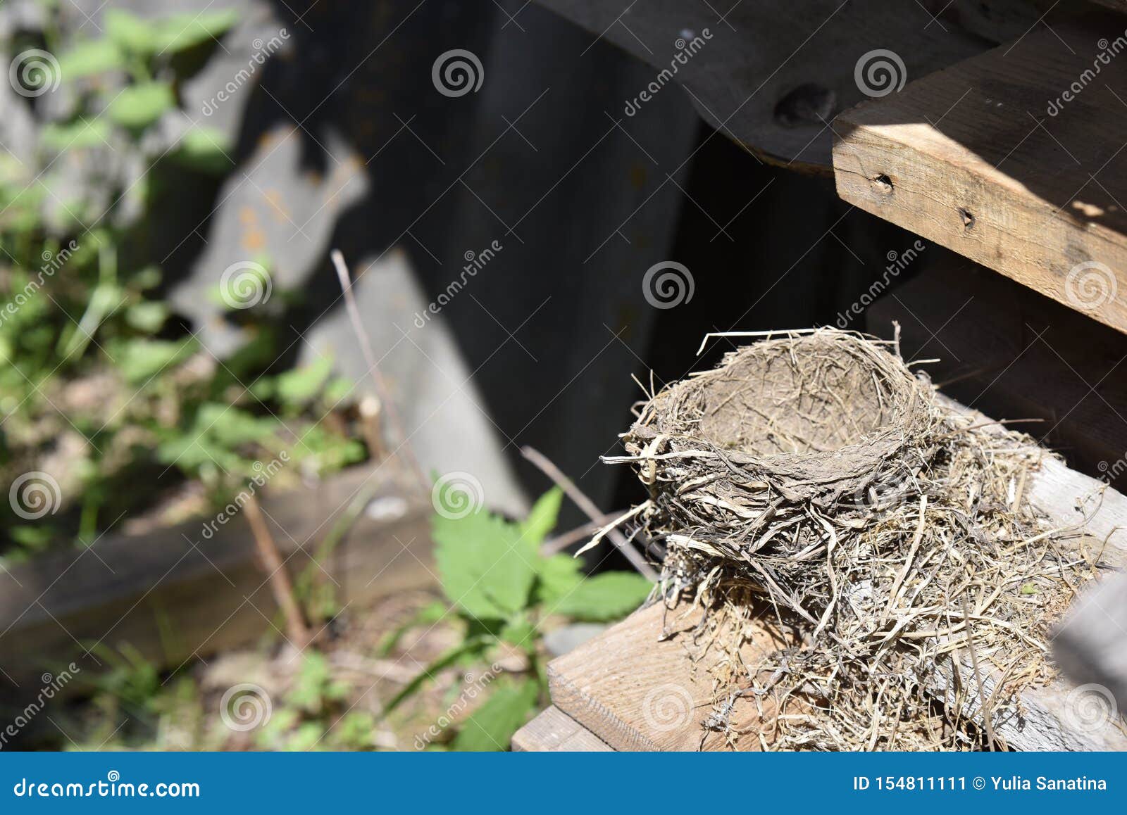 Nest on the old woden rack stock image. Image of bird - 154811111