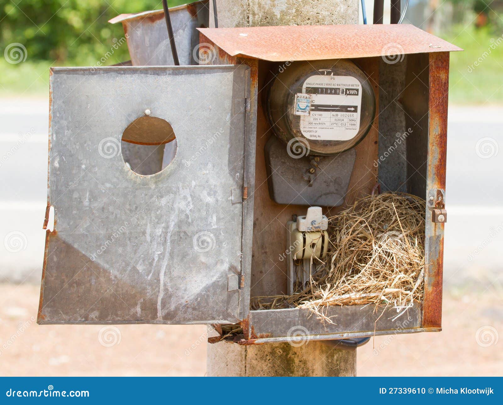 Nest of a Sparrow in a Cabinet with Electrical Meter Stock Photo ...