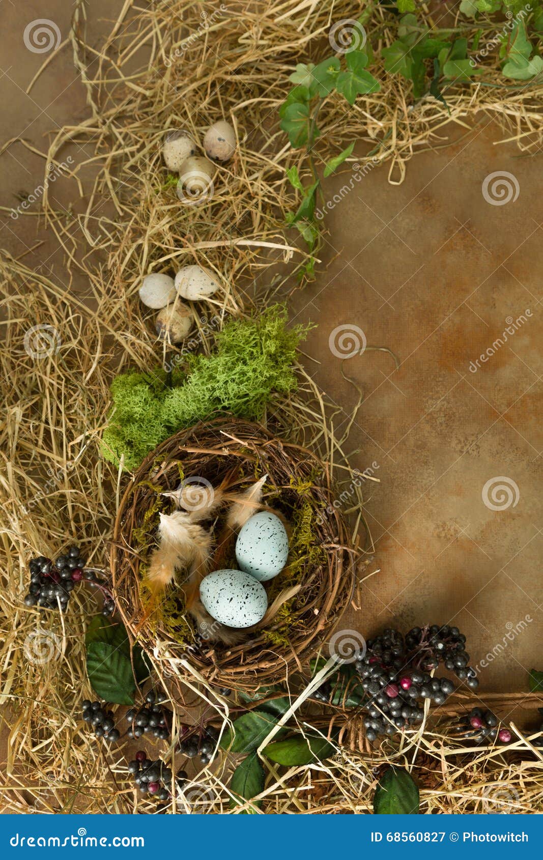 Nest in springtime border stock image. Image of berries - 68560827