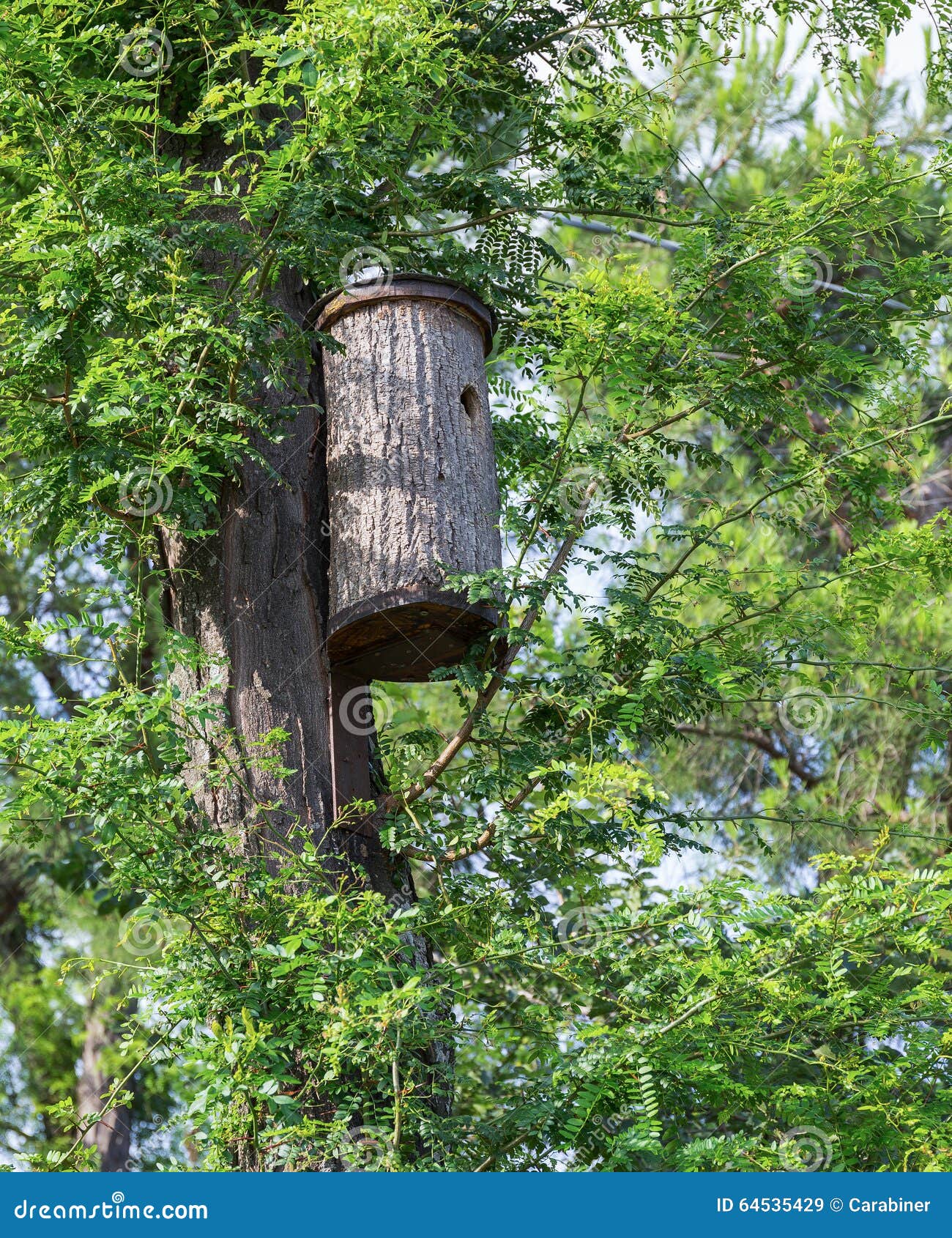 Nesting box stock image. Image of spring, forest, green - 64535429