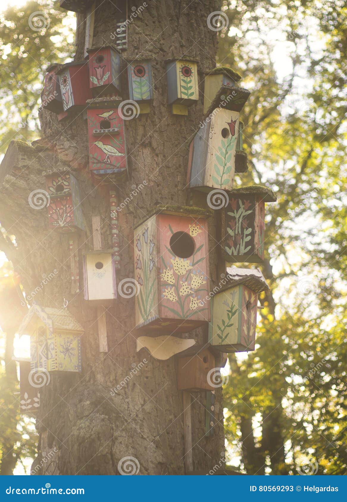 Nesting boxes stock image. Image of nature, birds, detail - 80569293